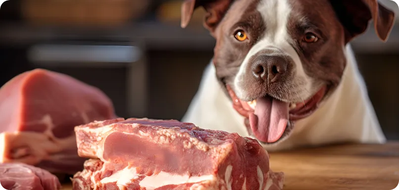 Qu’est ce que le BARF ? - Yummy Barf